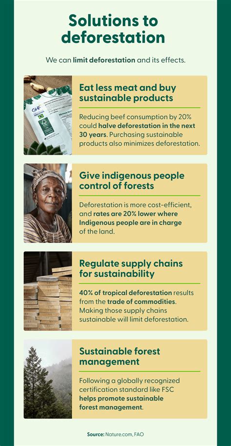 What Is Deforestation—and How Do We Prevent It