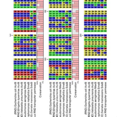 Multiple Sequence Alignment Of Consensus Sequences Of The Main