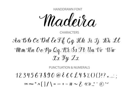 Handdrawn Vector Script Font Brush Style Textured Calligraphy Cursive