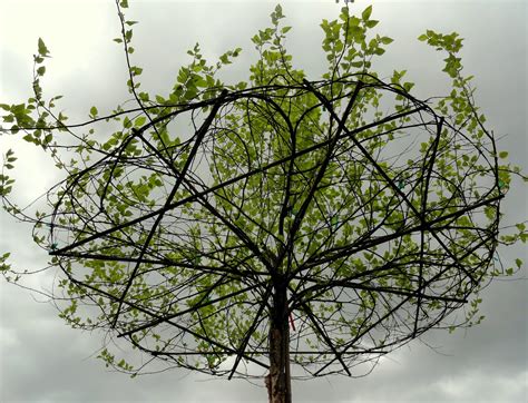 Danger Garden A Babe Structure