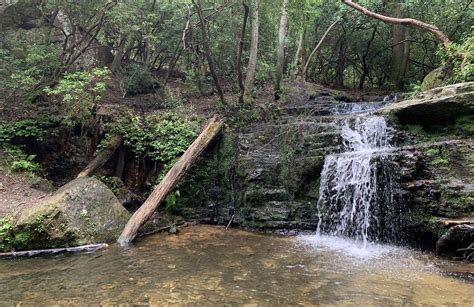 Best Walking Trails In Providence Canyon State Park Alltrails