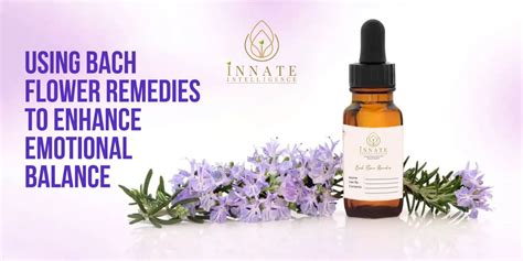 Using Bach Flower Remedies To Enhance Emotional Balance Inrockry