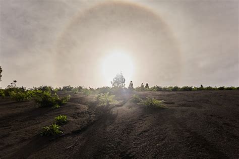 구름의 바다 용암의 흐름 배경의 테 네리 페 테이 데 라 팔마 섬의 화산 경로에있는 더 많은 멋진 풍경 카나리아 제도 스페인 0명에 대한 스톡 사진 및 기타 이미지 Istock