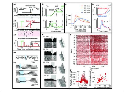 Cerebellar Activity After Eye Blink Conditioning And Related Movement