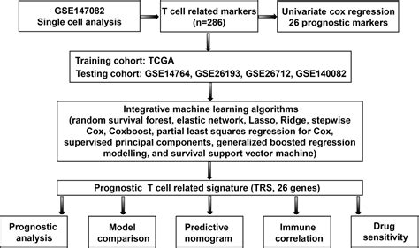 Figure 3 From Machine Learning Constructs A T Cell Related Signature