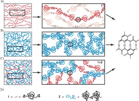 Figure 1 From Chemical And Biological Properties Of Supramolecular Polymer Systems Based On