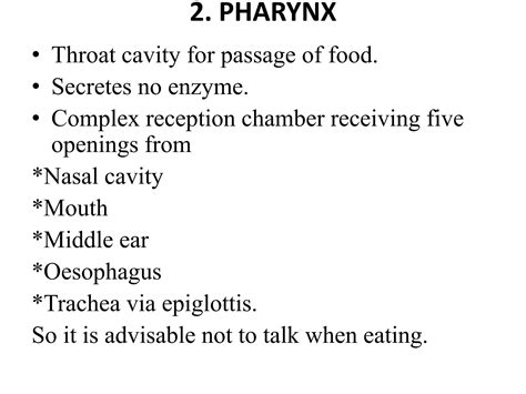 Mammalian Digestive System 1 Pptx Digestive Disorders Diseases And Conditions