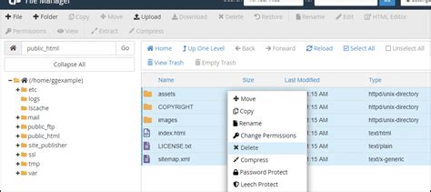 how to use the cpanel site publisher greengeeks