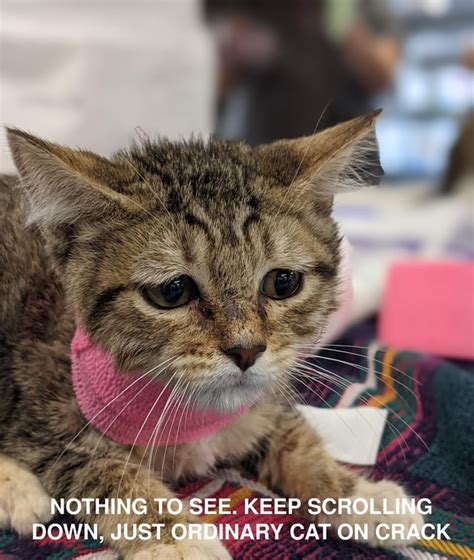 Keep Scrolling R Memes