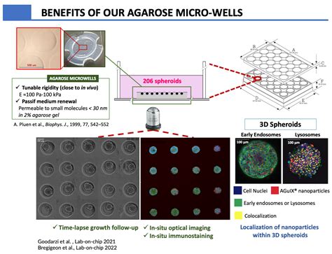 Microfabrication Platform µfab Crcl