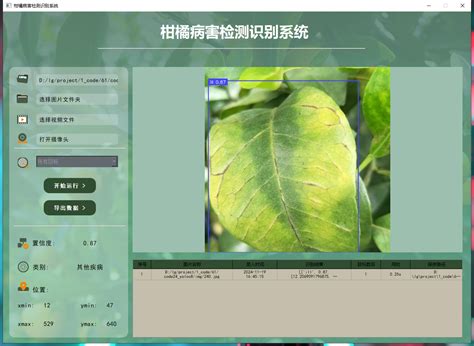 Python基于深度学习的柑橘叶片病害检测系统源码lw部署文档讲解等柑橘病害检测代码 Csdn博客