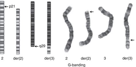 Clinical Genetics Clinical Tree