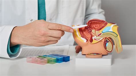 Cuidando Tu Próstata A Través De Fisioterapia De Piso Pélvico Soho