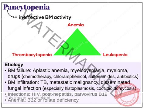 Pancytopenia Medicine Keys For Mrcps
