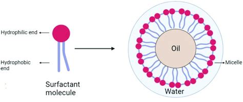 Double Trouble The Science Behind Why 2 In 1 Shampoos Are Hair Raising
