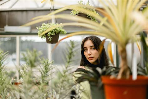 Dafnas Musical Aura Continues To Blossom 303 Magazine