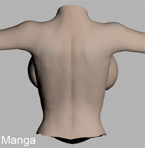 Aam Upper Body Hgec Aa Torso With Manga Boobs And Varying Levels Of