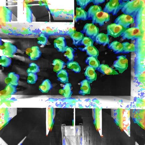 Left Colour Coded Disparity Map Right Disparity Map Restricted To