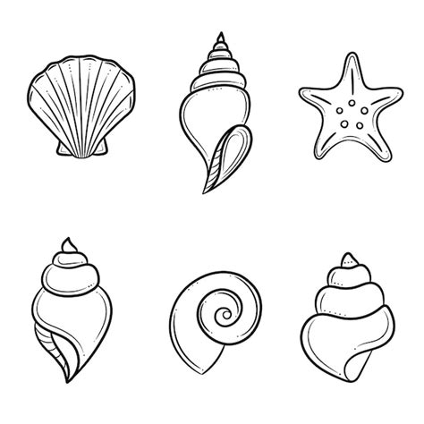 How To Draw Seashells