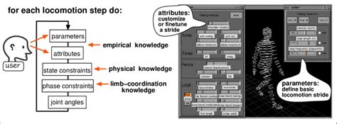 Direct Manipulation Of Parameters For Human Locomotion Download High Resolution Scientific
