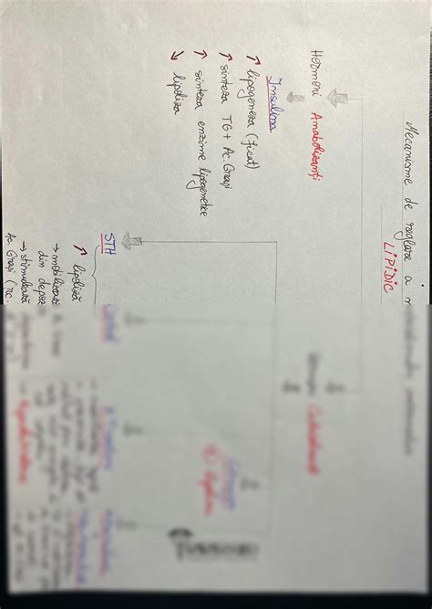 Solution Schema Metabolism Lipidic Studypool