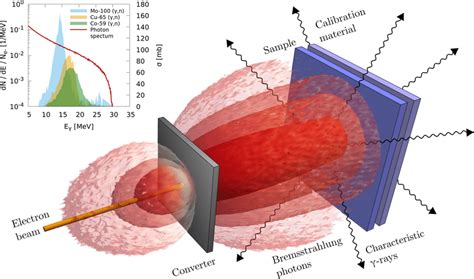 Conceptual Setup Of Photon Activation Analysis The Red Line Is The Download Scientific Diagram