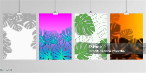 브로셔 전단지 커버 디자인 책 브로셔 포스터를 위한 A4 모형 디자인 템플릿의 사실적인 벡터 레이아웃 열대 야자수 잎 열대 정글 잎의 그림자 꽃 무늬 배경 3차원 형태에