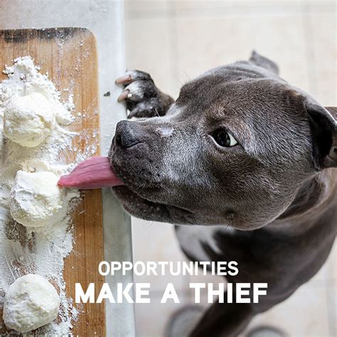 Atruent On Linkedin Atruent Cybersecurity Stayprotected