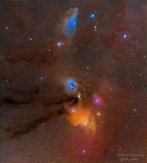 Rho Ophiuchi And The Blue Horsehead Rastrophotography