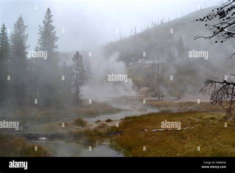 Yellowstone Nationalpark Yellowstone Nationalpark Hi Res Stock
