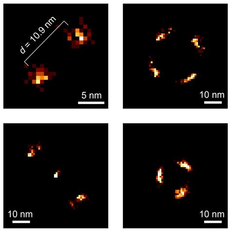 Super Resolution Fluorescence Microscopy Without On Off Switching 2025 Wiley Analytical Science