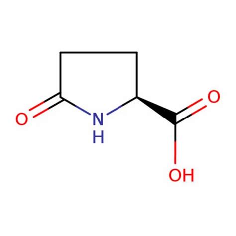 L Pyroglutamic Acid At Best Price In Mumbai By Global Chemie Id 17607064633