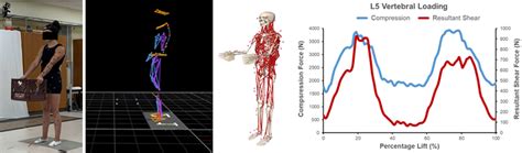 spinal loading and vertebral fractures anderson lab