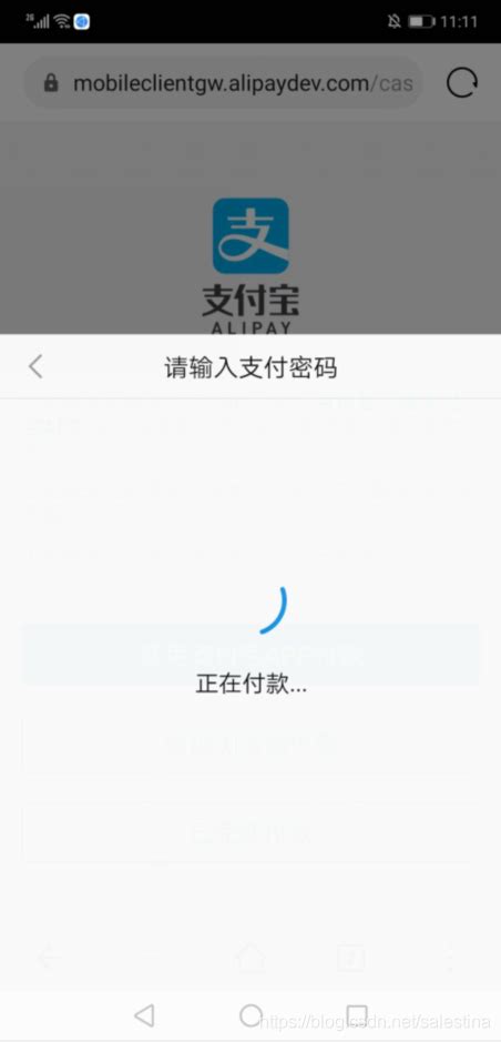 支付宝手机网站h5支付支付宝h5支付 Csdn博客