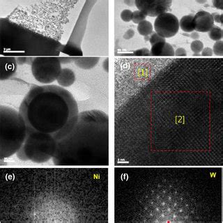 Cross-sectional TEM sample preparation via impregnation and FIB milling ...