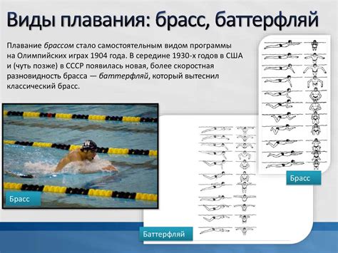 Плавание как вид досуга и спорта Online Presentation