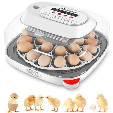 Sailnovo 24 Eggs Incubators For Hatching Eggs 4 Modes Egg