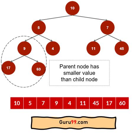 Heap Sort Algorithm With Code In Python And C