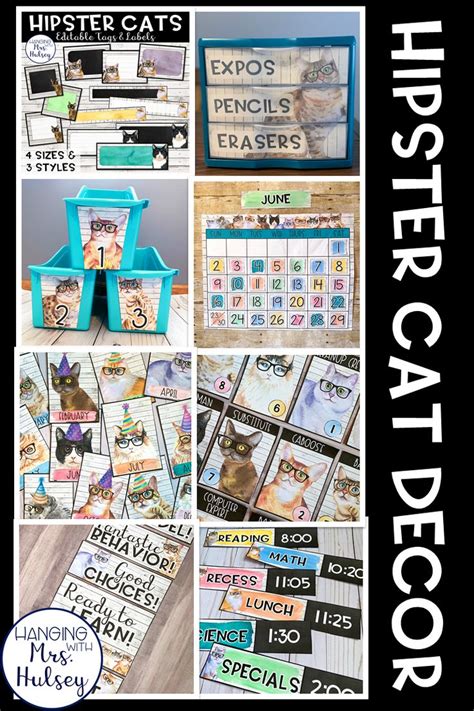 Hipster Cat Class Decor Bundle Hipster Cat Decor Bundle Diy