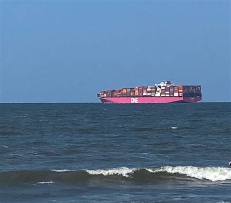 Amal Rizk On Linkedin Portsaid Shipping Oceannetworkexpress