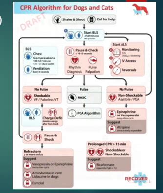 Week CPR Flashcards Quizlet