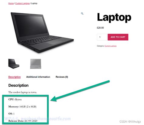 如何在 woocommerce 产品页添加自定义字段 woocommerce acf csdn博客