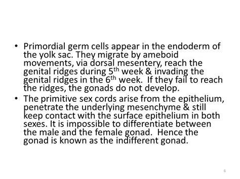 Development Of Male Genital System Ppt Video Online Download