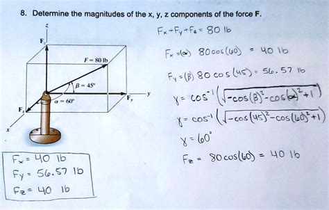 Solved Determine The Magnitudes Of The X Y Z Components Of The Force