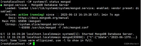 Linux Mongodb 安装与配置 Csdn博客