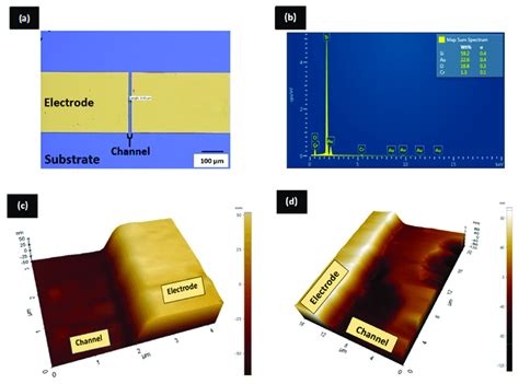 A Optical Microscope Image Of Graphene Based Field Effect Transistor