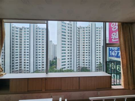 고양시 풍동 유리 창문 열차단썬팅 하늘꿈요양원 자외선차단 햇빛차단 썬팅 필름 시공 네이버 블로그