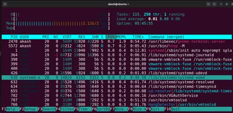 The Htop Command In Linux Practical Examples LinuxSimply