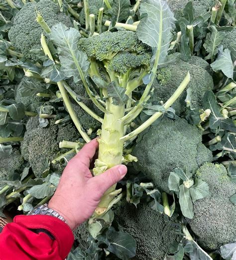 Please 🚨‼️🛑 Dont Throw It Out🙏when I Started In The Biz In 1984