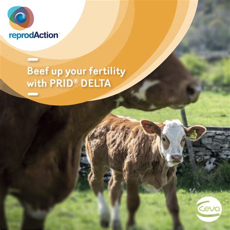 Prid Delta Support Ceva